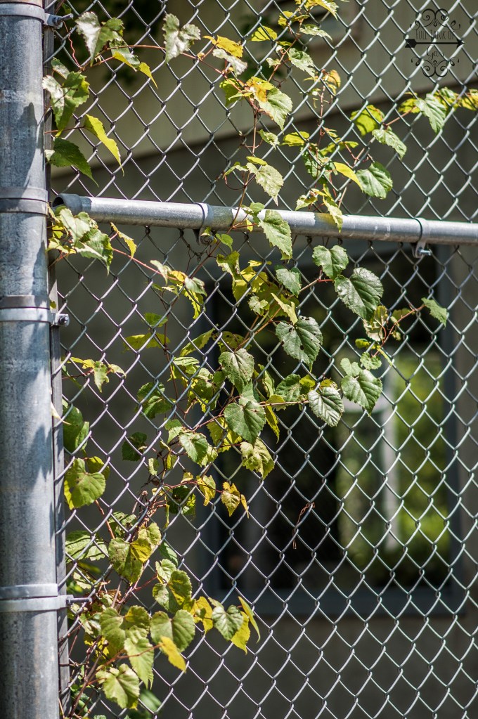 Scott State Prison – Full Tank of Gas and the Money out the Mattress